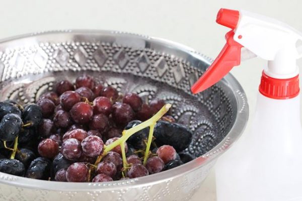 Grape Juice Recipe, How to Make Grape Juice - Swasthi's Recipes