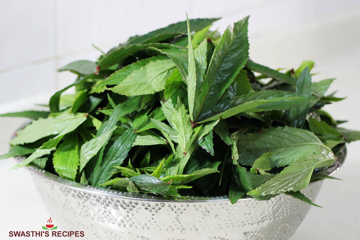 Gongura Pachadi | Gongura Pickle & Chutney - Swasthi's Recipes